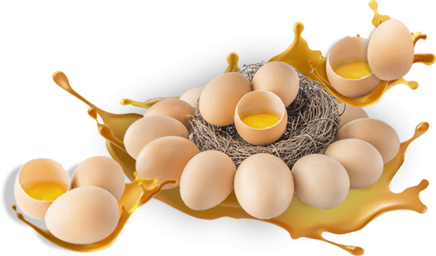 Mamayo Mayonnaise Paling Enak - Java Egg Specialities