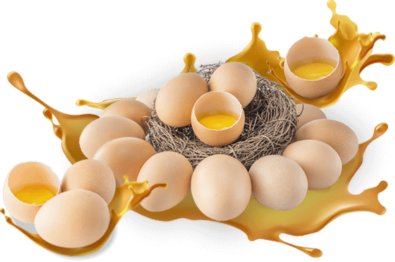 Mamayo Mayonnaise Paling Enak - Java Egg Specialities